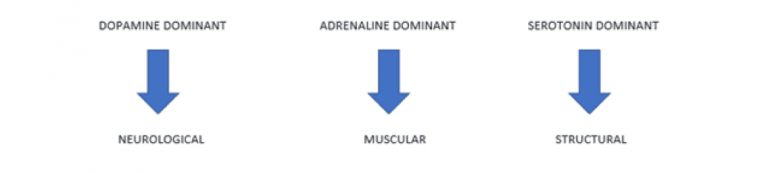 Understanding the Neurotype - Thibarmy
