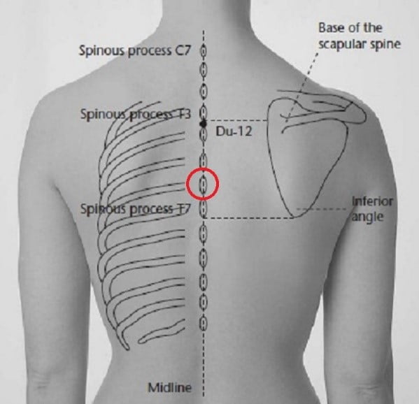 3 Phases For Retraining Overhead Movement - Thibarmy