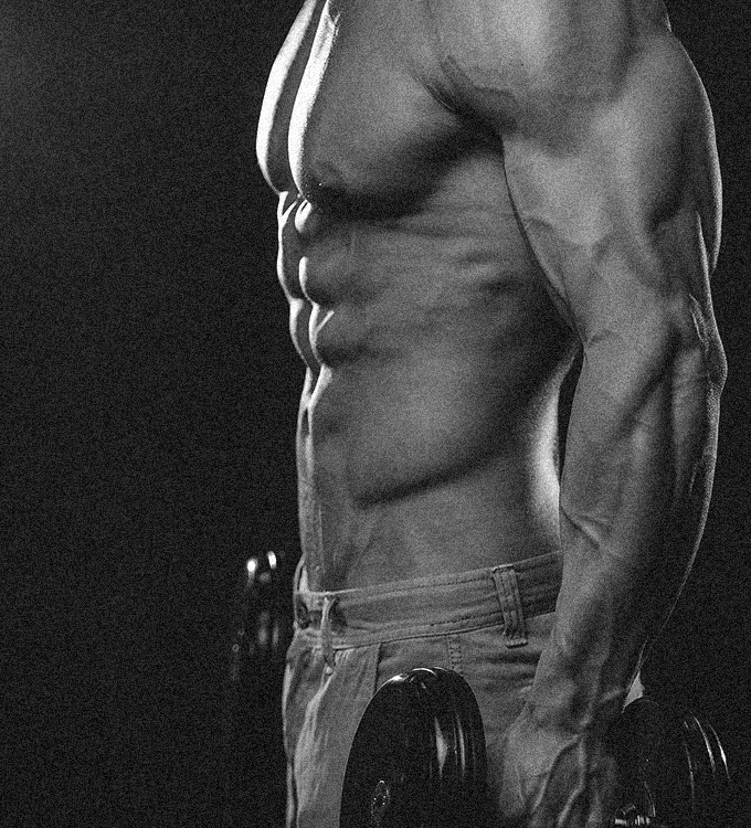 DIET NEUROTYPE 2B FAT LOSS - Thibarmy