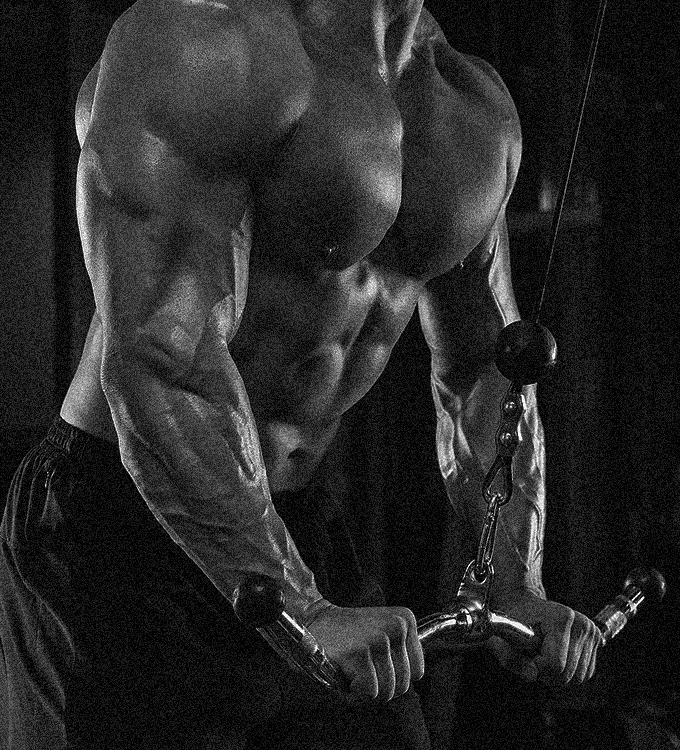 DIET NEUROTYPE 1A FAT LOSS - Thibarmy