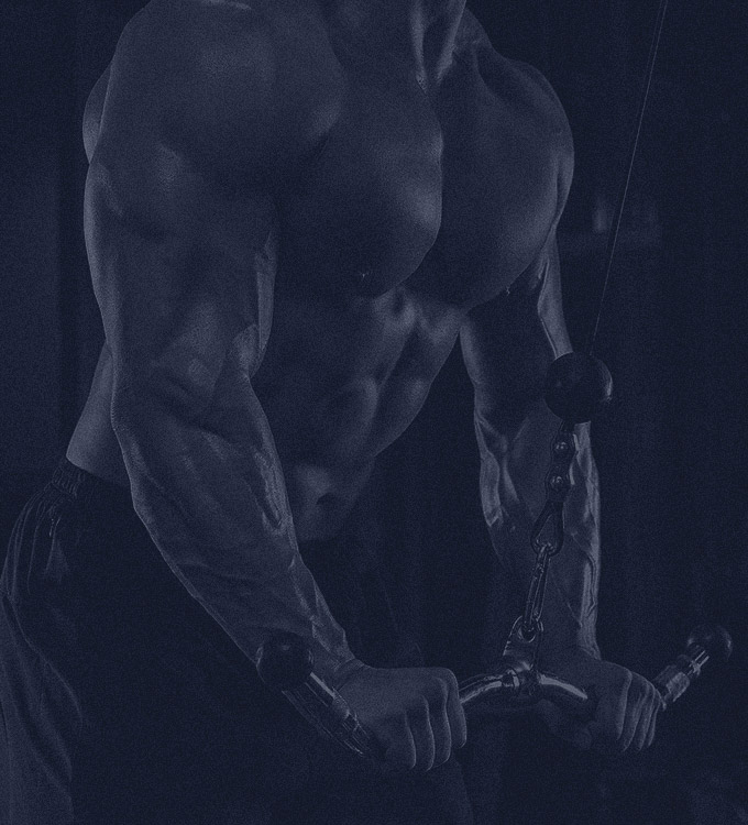 BEAT THE APOCALYPSE – BODYWEIGHT BUNDLE - Thibarmy