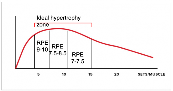 The Recommendations For The Natural Lifter - Thibarmy