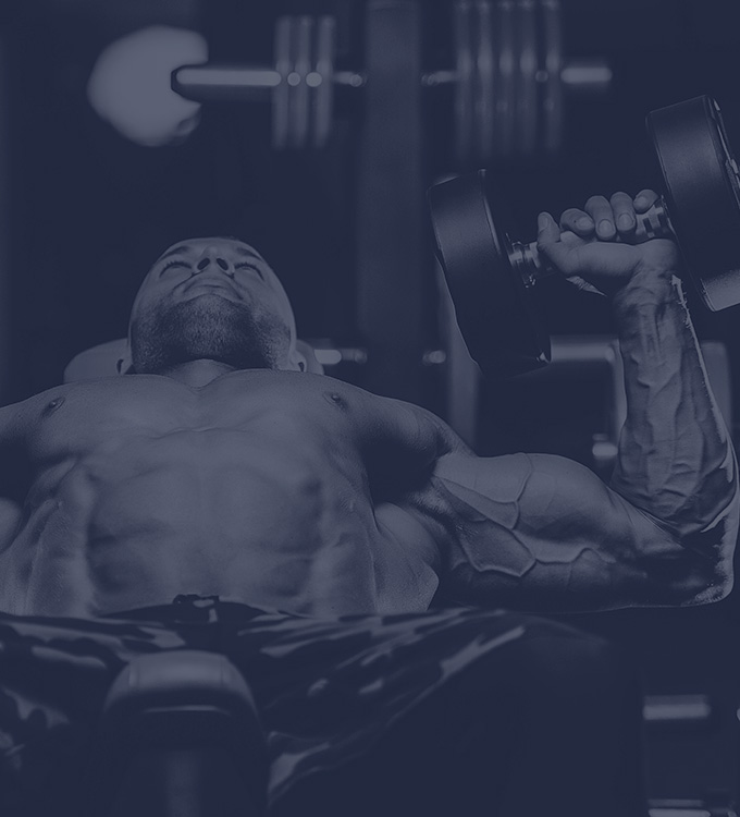 Periodized Bodybuilding - Thibarmy