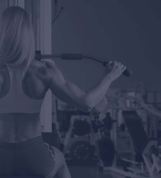 Beauty//Beast - Thibarmy