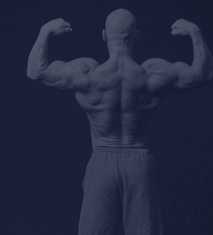 WB Series: Muscle building program - Thibarmy